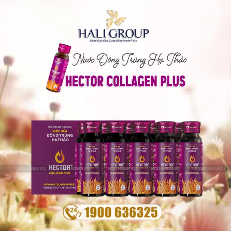 Nước Đông Trùng Hạ Thảo Hector Collagen Plus - Phiên Bản Mới