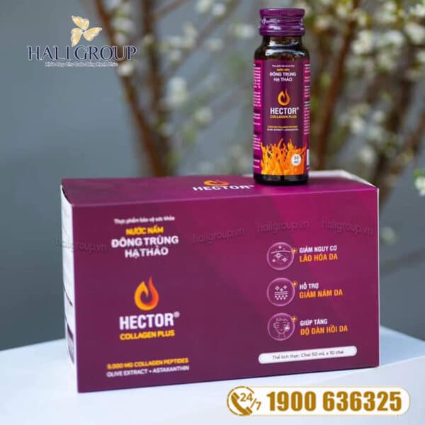 Nước Đông Trùng Hạ Thảo Hector Collagen Plus - Phiên Bản Mới